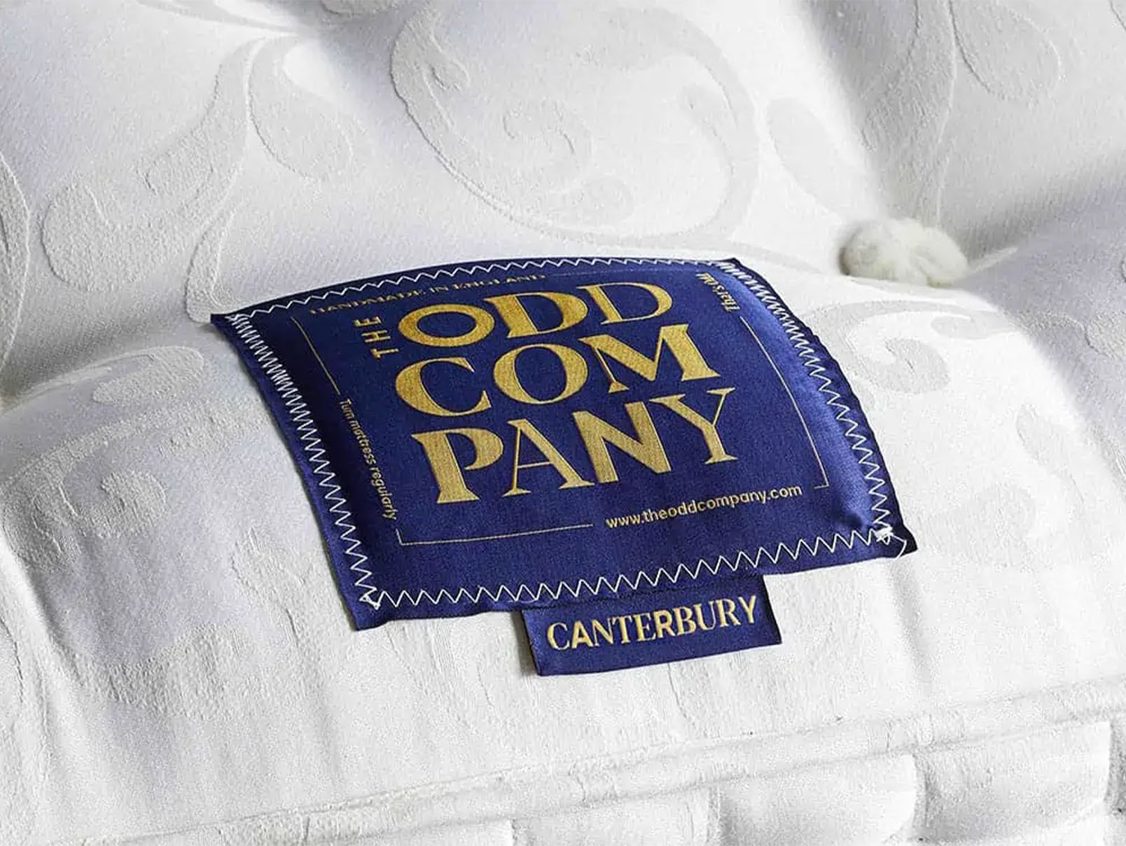 The Odd Company | Client Case Studies